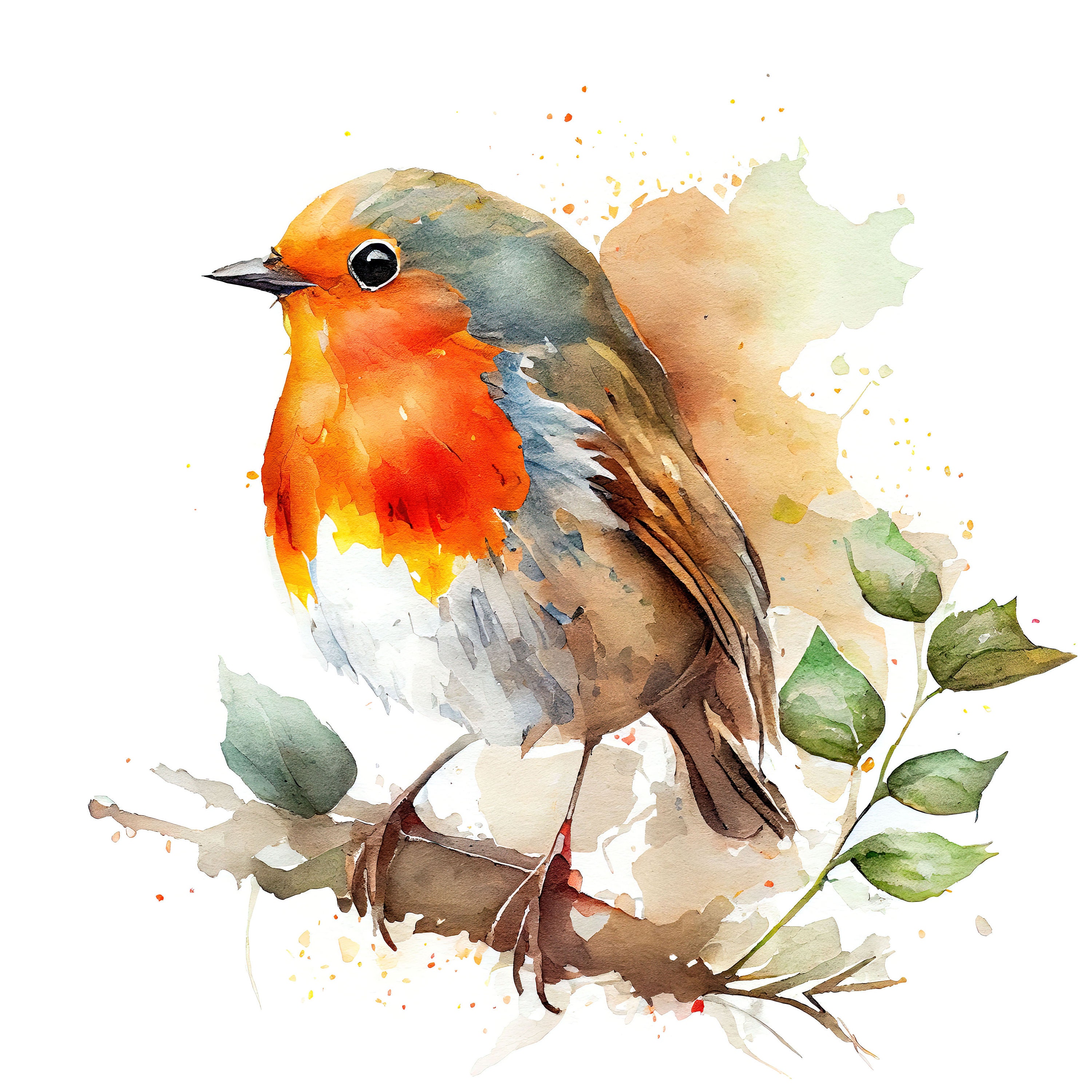 Cute Robin 12 JPG, Digital Download, Commercial Use, Clipart for Craft ...
