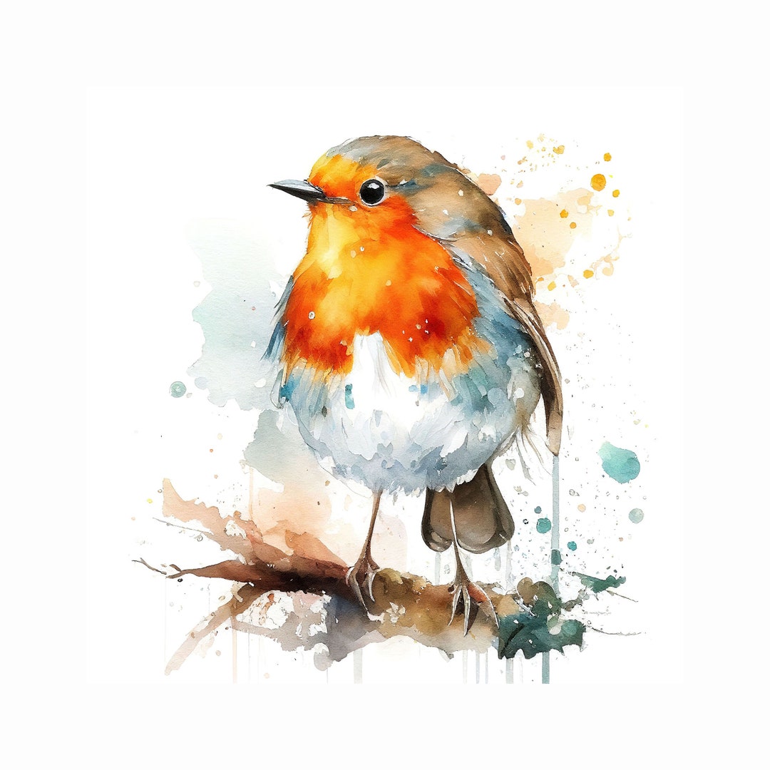 Cute Robin 12 JPG, Digital Download, Commercial Use, Clipart for Craft ...