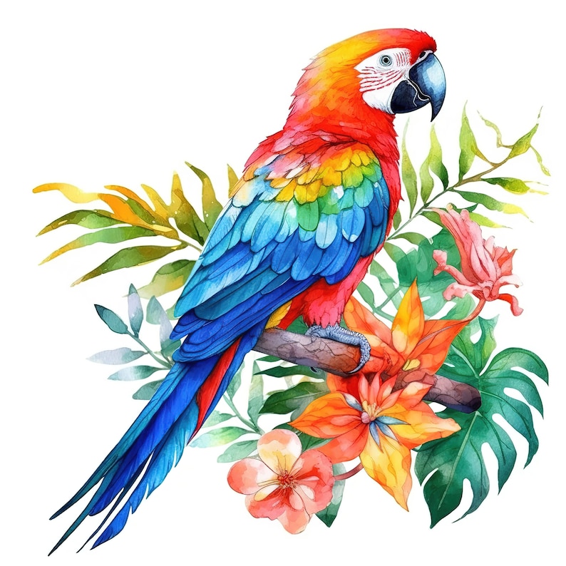 Colorful Parrot Clipart 12 High Quality JPG, Digital Download, Craft ...