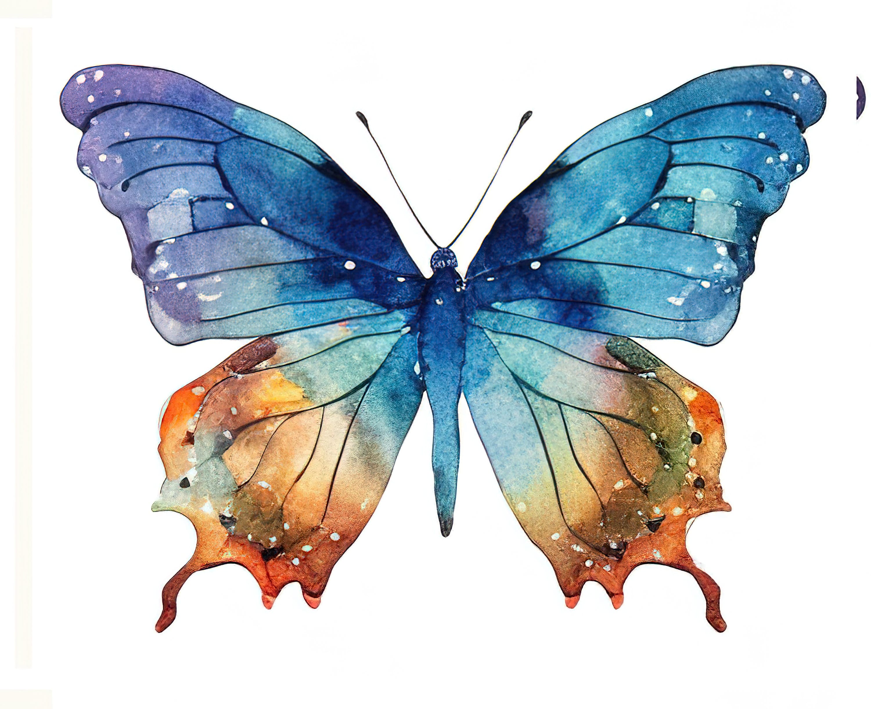 Fantastic Watercolor Butterfly Clipart 12 High Quality JPG, Digital ...