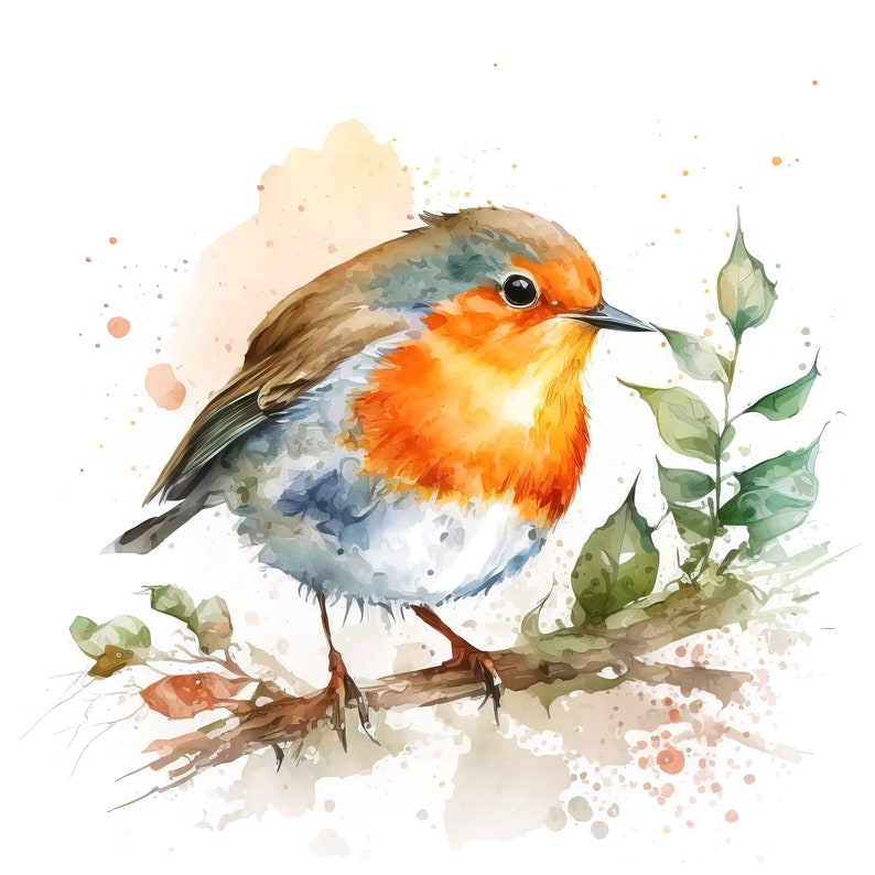 Cute Robin 12 JPG, Digital Download, Commercial Use, Clipart for Craft ...