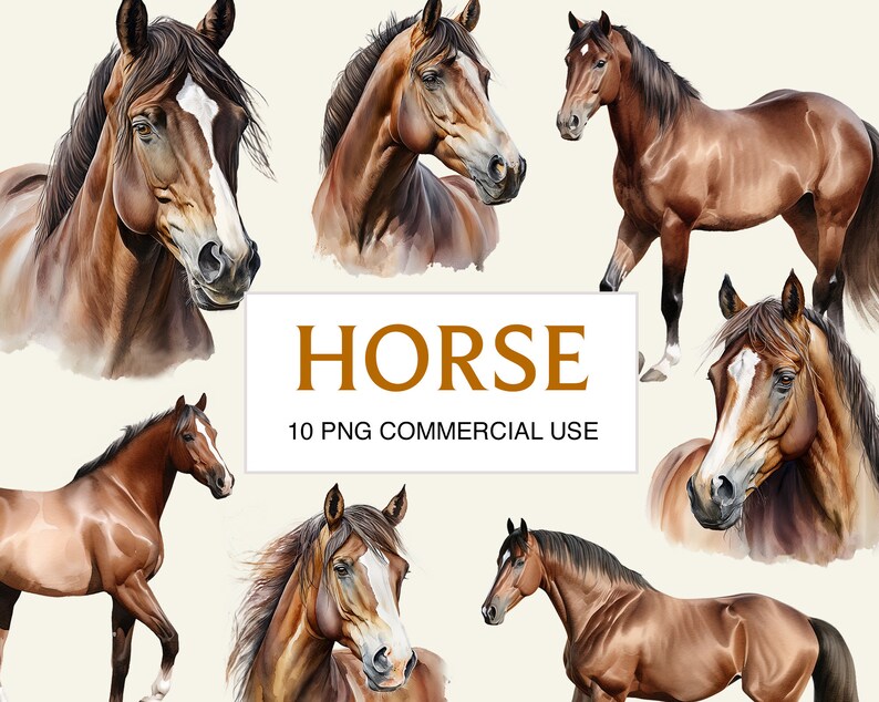 Horse Clipart 10 PNG, Commercial Use, Printable, Digital Art for Craft ...