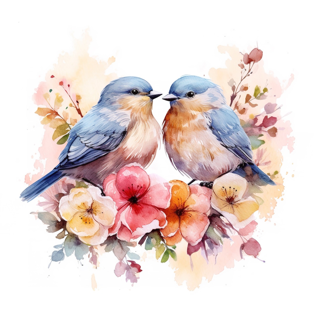 A Pair of Cute Birds Clip Art, 12 High Quality Jpg_digital Download ...
