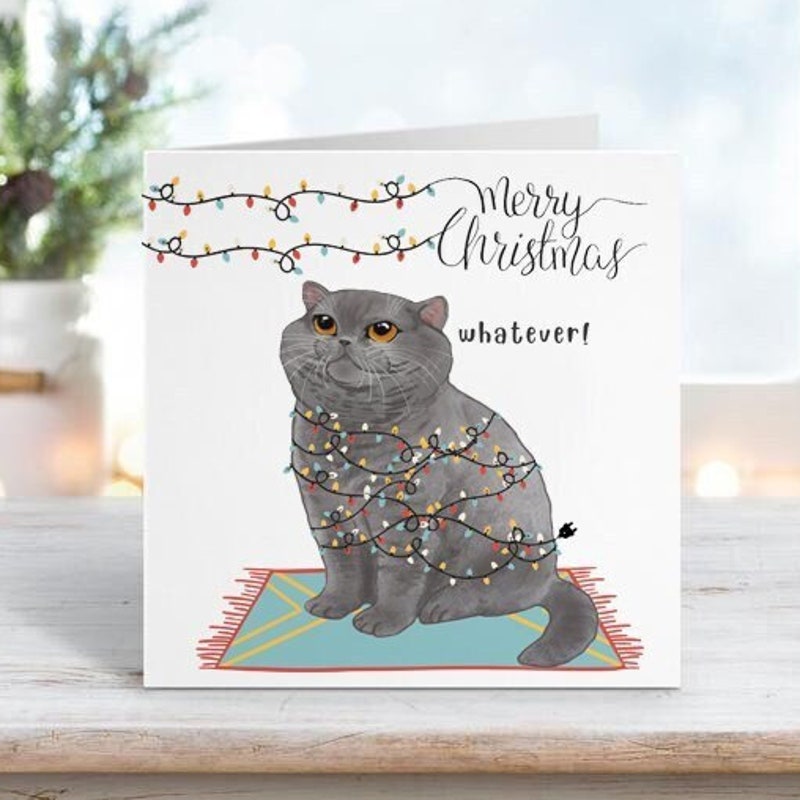 Funny Cat Card - Etsy UK