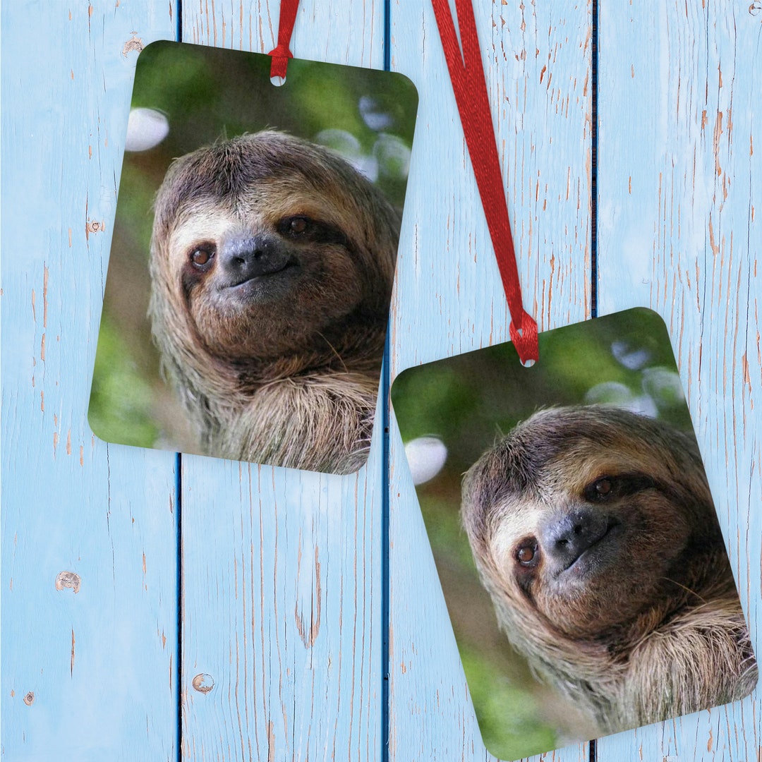 Smiling Sloth Air Freshener, Cute Car Air Freshener, Valentines Gift ...