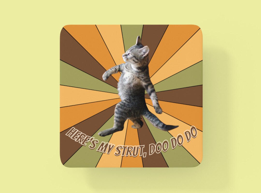 Funny Here's My Strut Coaster, Meme Cat Coaster, Funny Tiktok Inspried ...