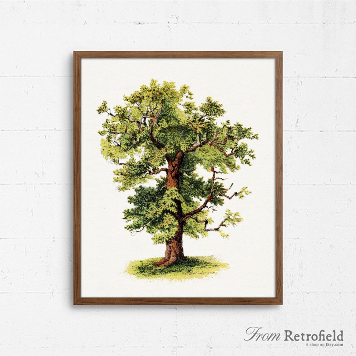 Oak Tree Printable Tree Botanical Print Tree Poster Vintage - Etsy