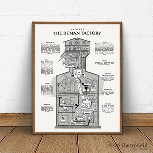 Human Factory Internal Body Functioning Vintage Medical - Etsy