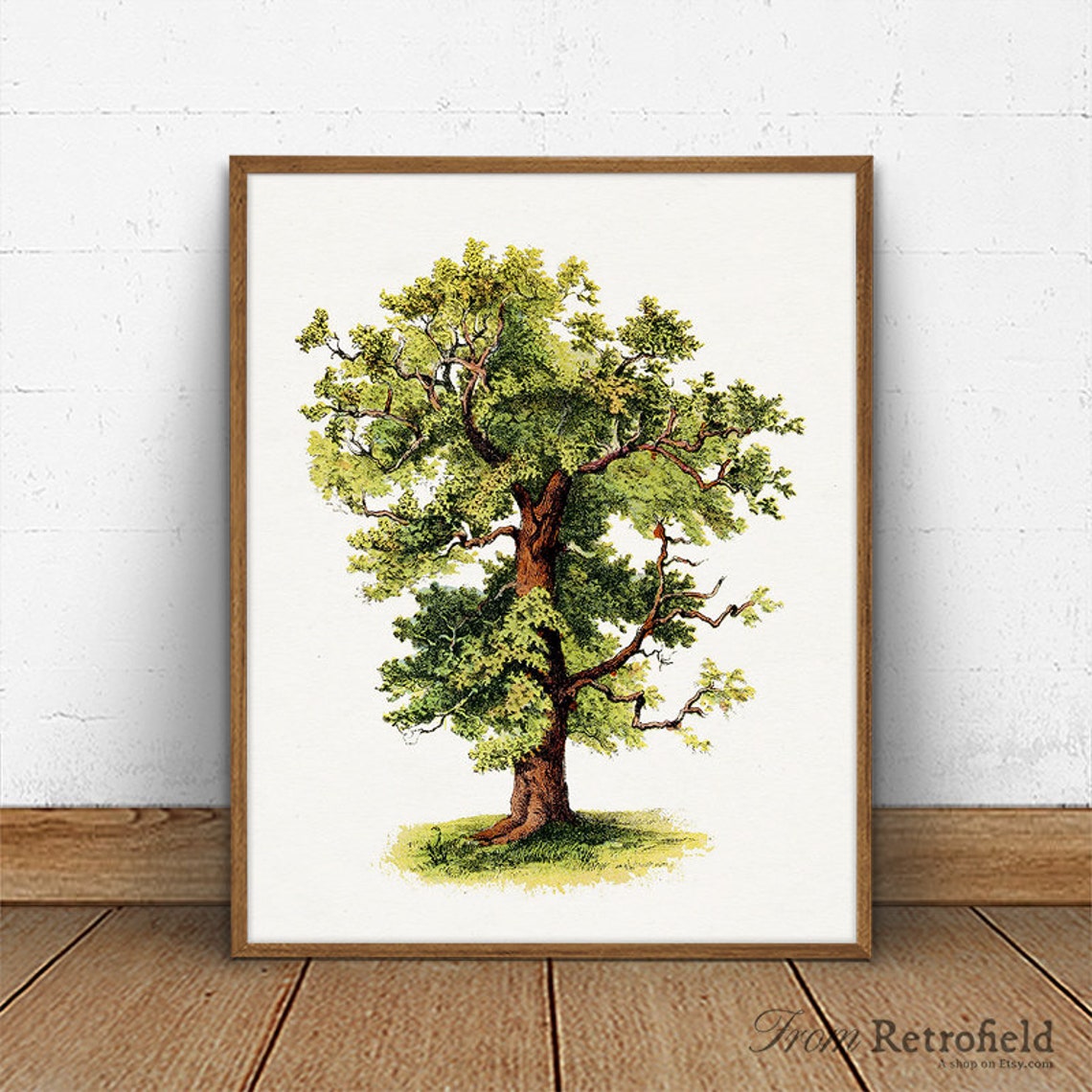 Oak Tree Printable Tree Botanical Print Tree Poster Vintage - Etsy