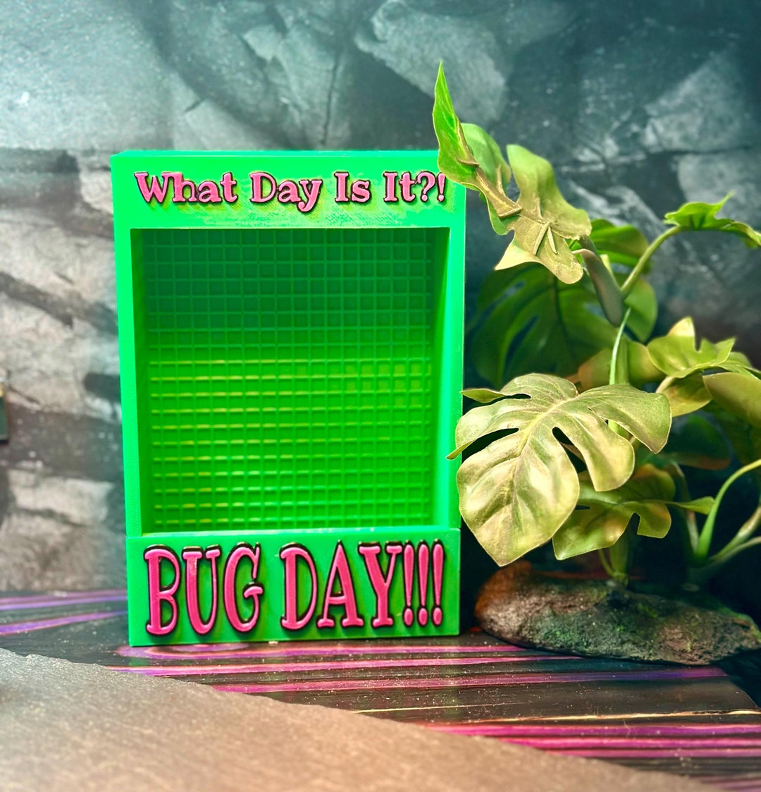 Reptile Insect Feeder Box - Etsy