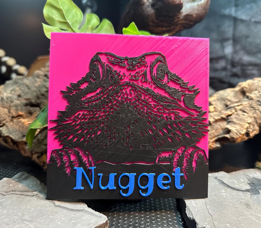 Bearded Dragon Nameplate Peek-a-boo - Etsy