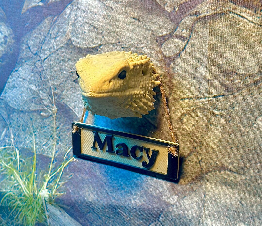 Mounted Bearded Dragon Magnetic Statue - Etsy