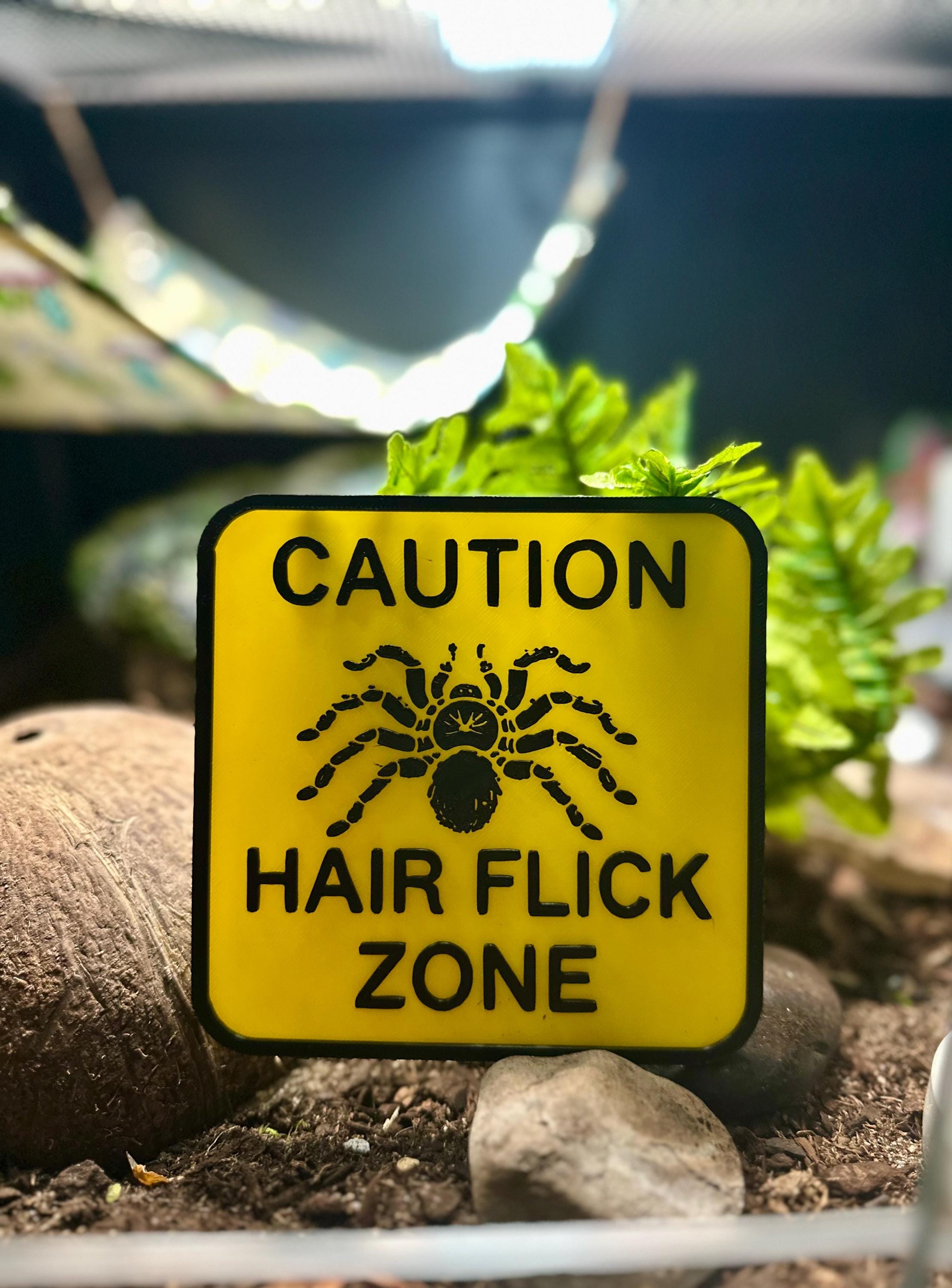 Tarantula Tank Decoration Caution Sign - Etsy