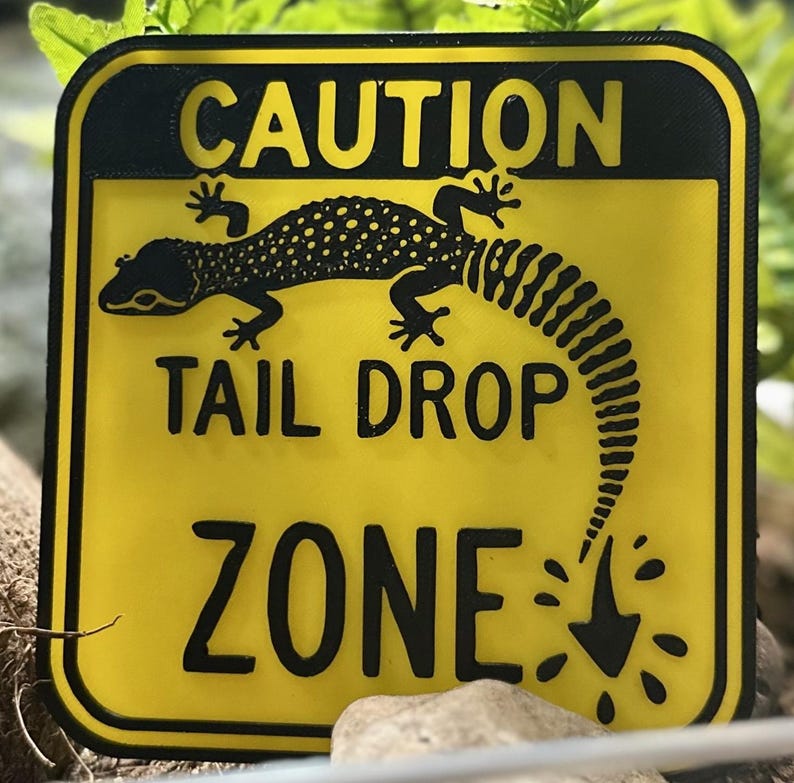 Leopard Gecko Tail Drop Caution Sign - Etsy