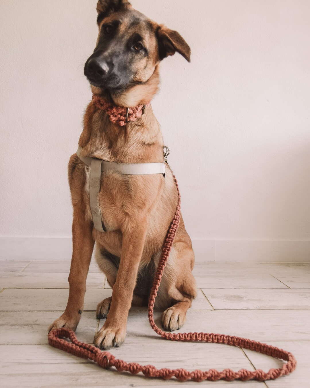 Dog Lead With Spiral Section | Macrame | Dog Leash | Boho Style "love" - Etsy