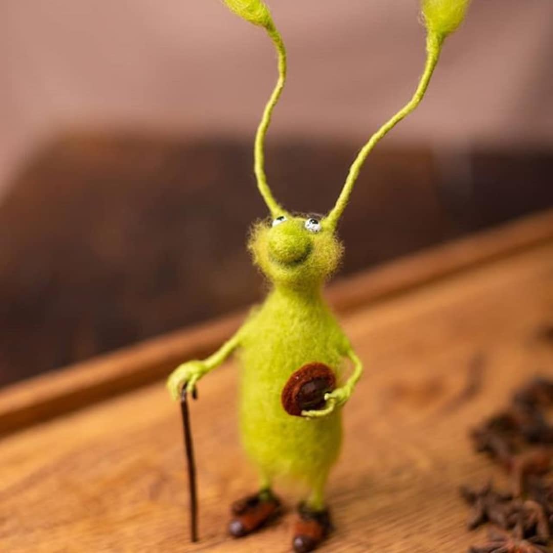 Cockroach From the Head of Women, Needle Felted Toys , Animal , Wooll ...