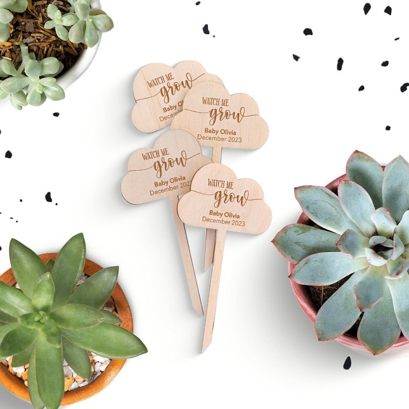 Watch Me Grow Succulent Tags - Etsy