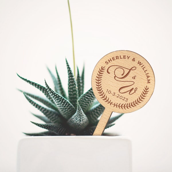 Succulent Favors - Etsy