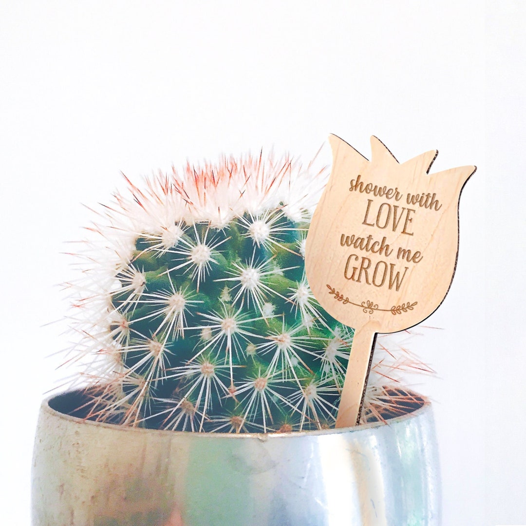 Shower With Love Watch Me Grow Mini Wood Succulent Tags, Floral Themed ...