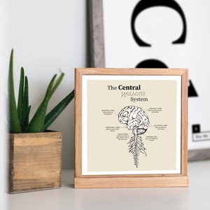 Central Nervous System Diagram, Brain Digital Printable, Medical ...
