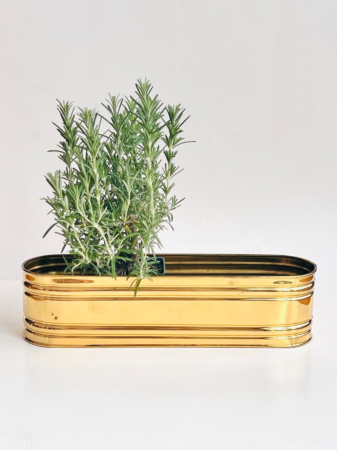 Vintage Nestor Brass Oval Planter Windowsill Flower Box Larger Pant ...