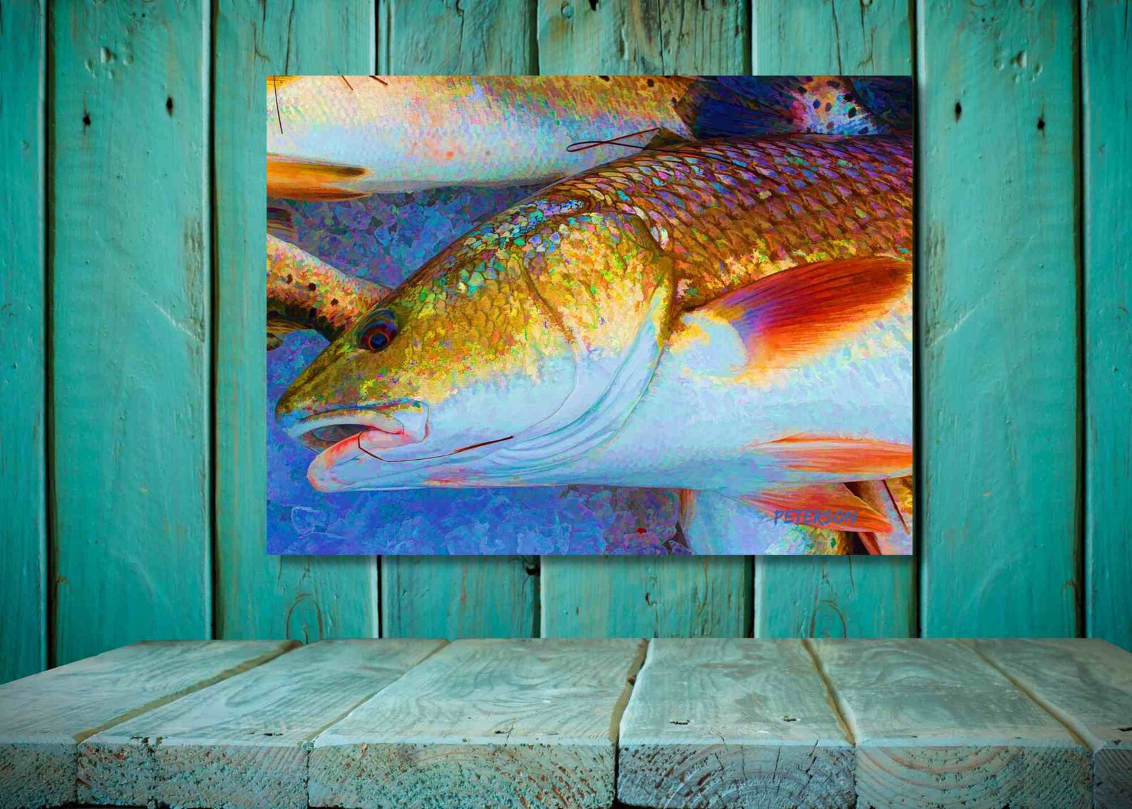Redfish Landed Giclee Printed on Canvas by Jan Peterson - Etsy