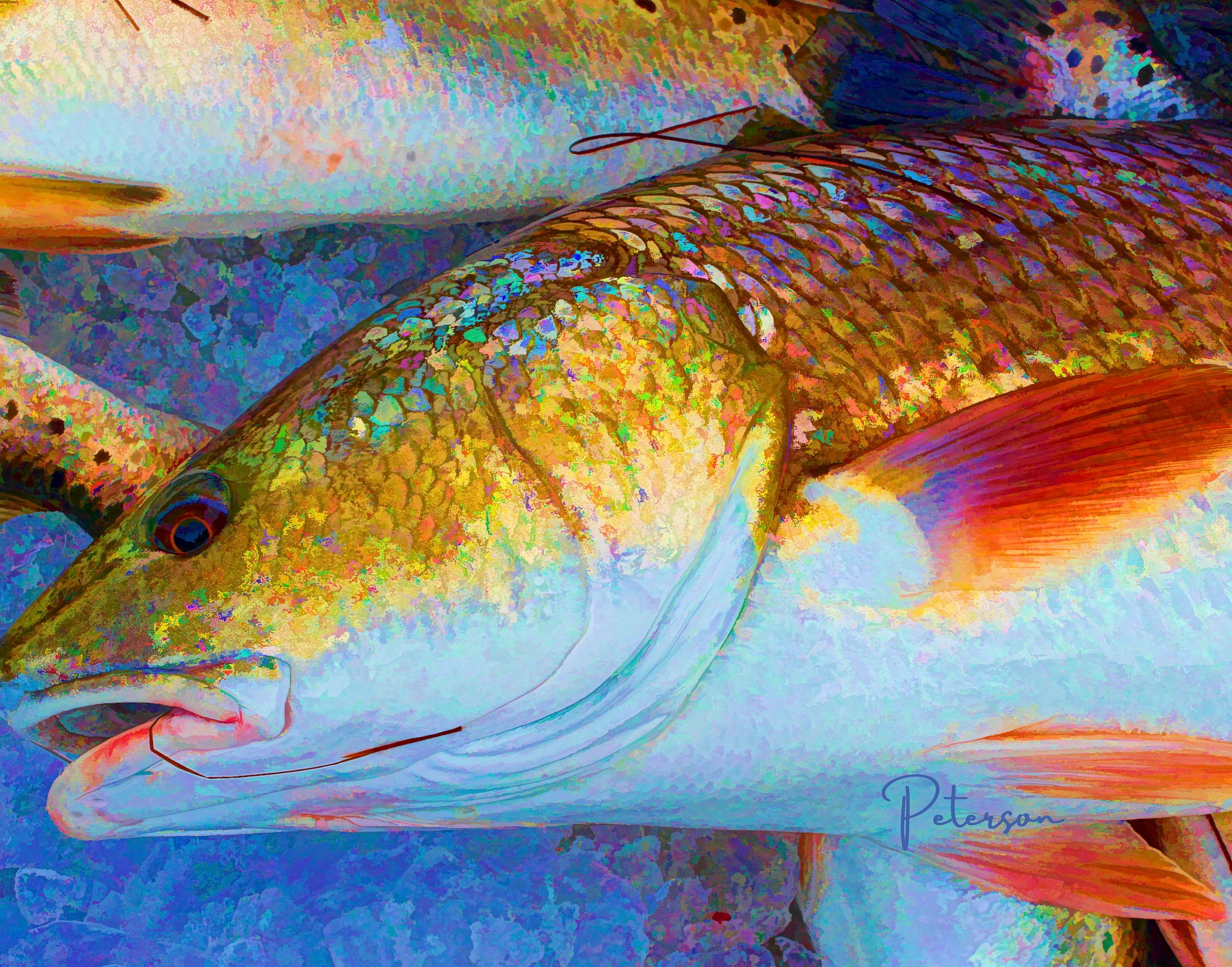 Guy Harvey Redfish Wallpaper