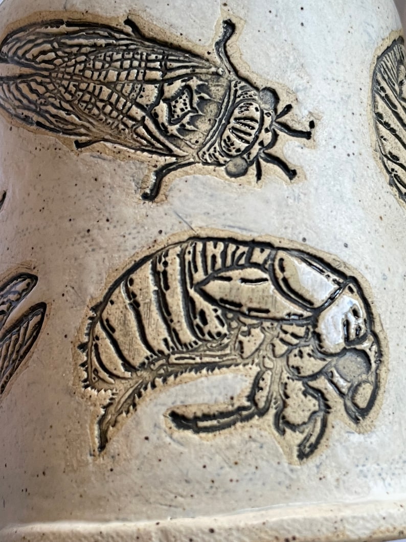 Cicada Mug - Handmade Cicada Art, Pottery Mug - Etsy