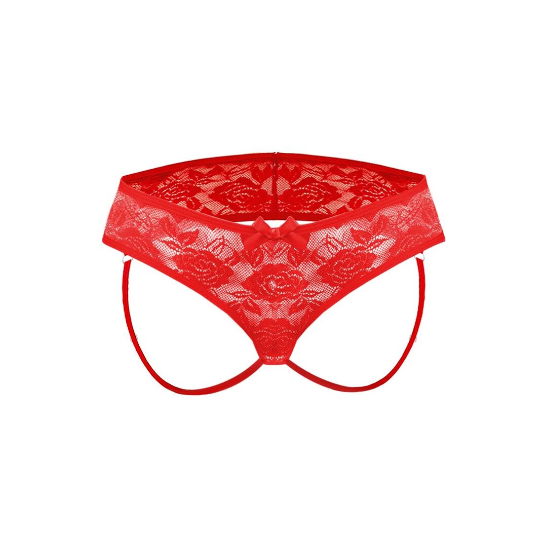 Crotchless Panties Open Panties See Through Panties Sheer Panties Sexy Panties Lingerie