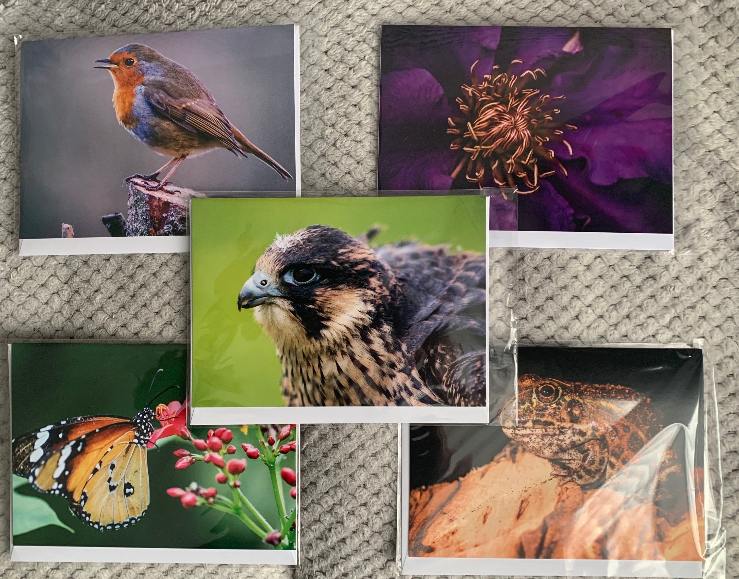 Nature Greetings Cards Set 2 - Etsy