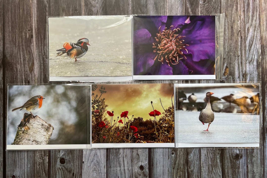 Nature Greetings Cards Set 3 - Etsy