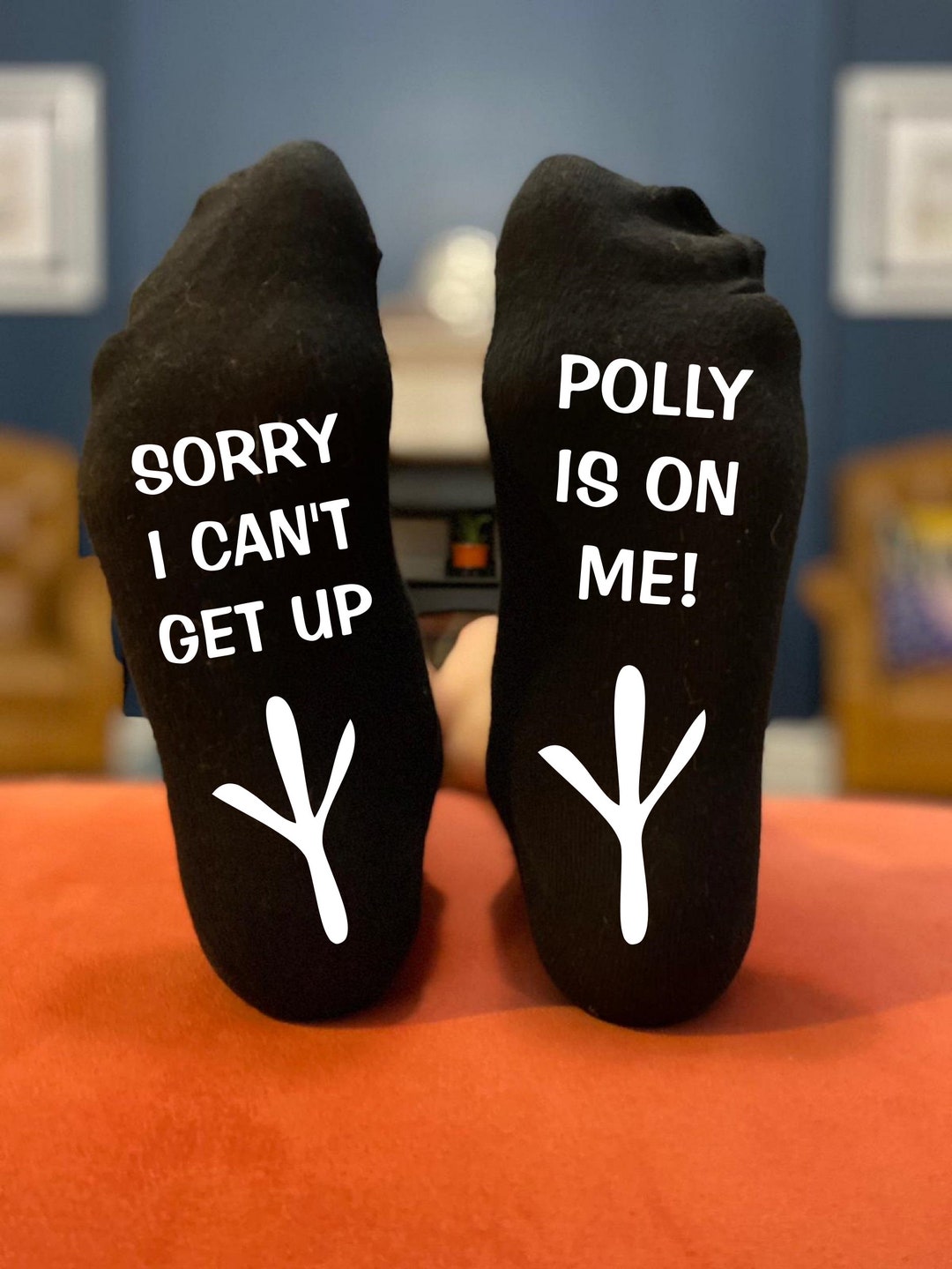 Personalised Parrot Funny Birthday, Christmas, Father's Day Socks Gift ...