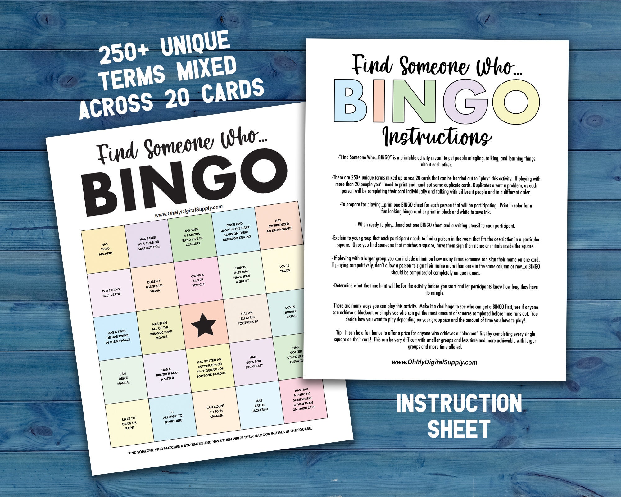 Find Someone BINGO Group Activity Ice Breaker Printable | Get to Know ...
