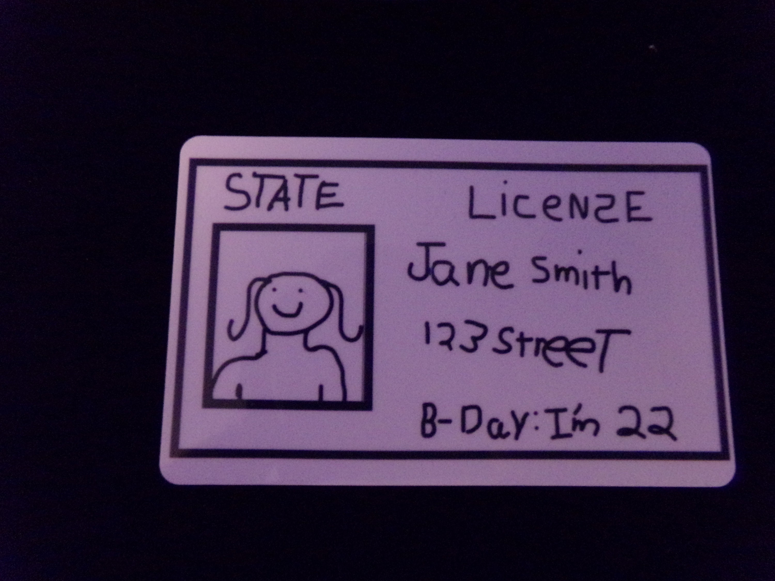 Humorous Fake ID Card, Fake ID Card, Humorous State ID, Wallet Id Card ...