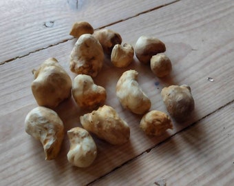 Oak Tree Beads - Etsy