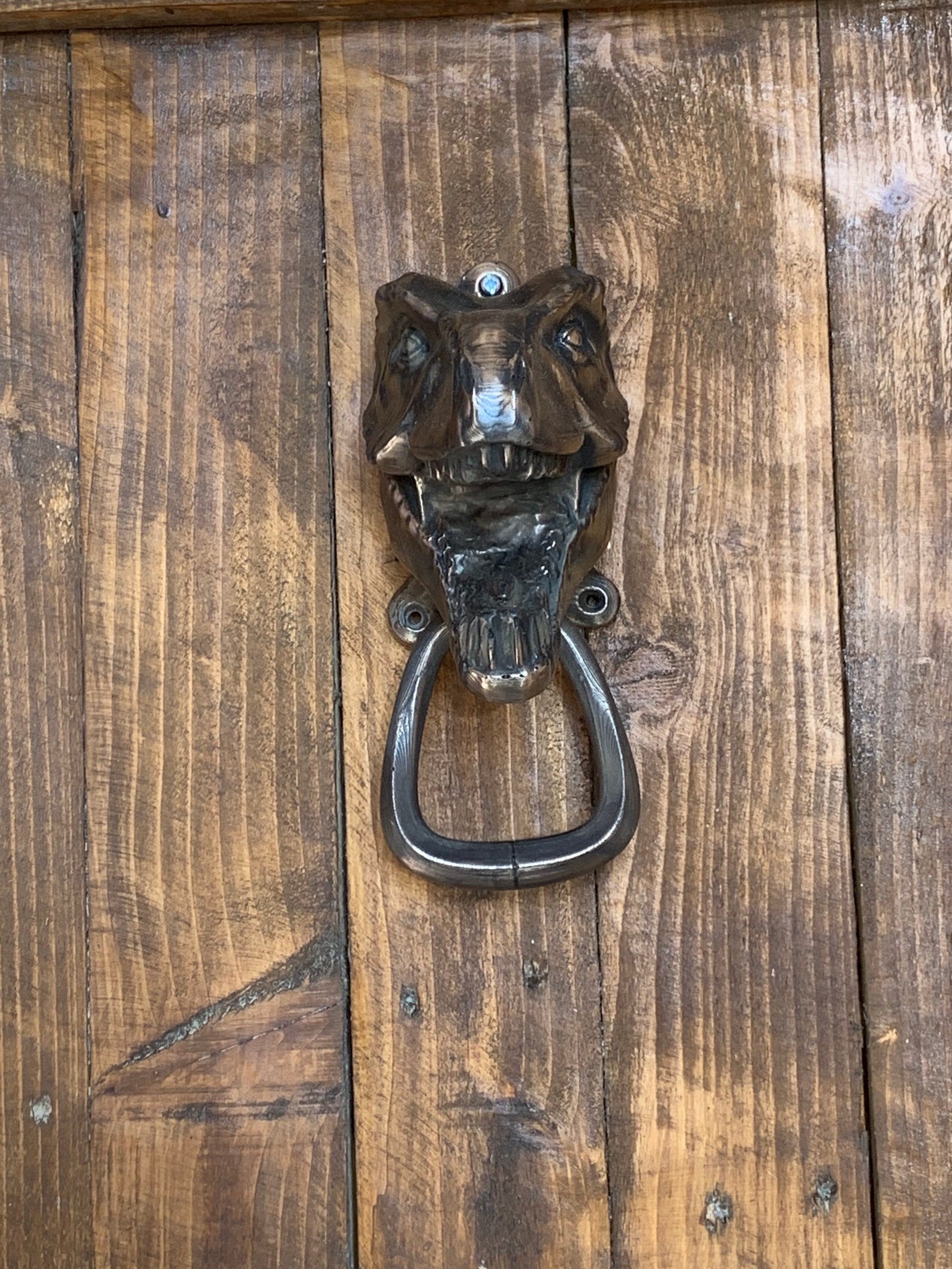 Resin Cold Cast Bronze Tyrannosaurus Rex Door Knocker: Dinosaur T-rex ...