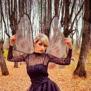 Transparent Wings, Butterfly Wings, Elf Wings, Wings Photo Prop ...