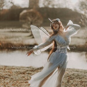 Transparent Wings, Moth Wings, Butterfly Wings, Elf Wings, Butterfly ...