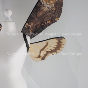 Deaths Head Moth Wings Hawkmoth Brown Wings Costume Wings Death's-head ...