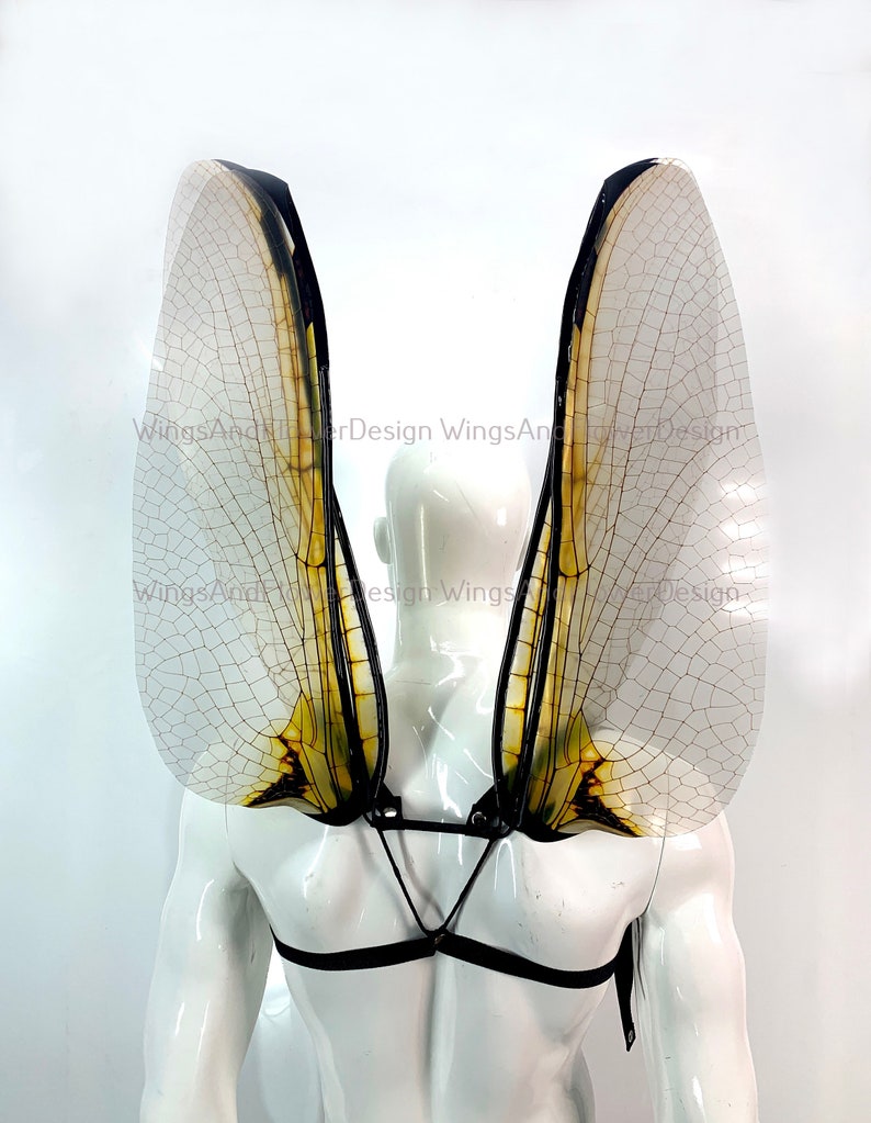 Dragonfly Wings Butterfly Brown Wings Elf Wings Fairy - Etsy
