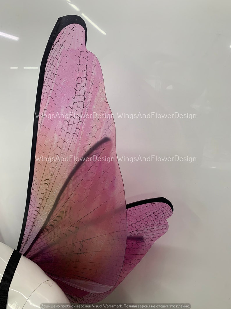Transparent Pink Wings Pink Moth Wings Wings Pink Elf Wings - Etsy