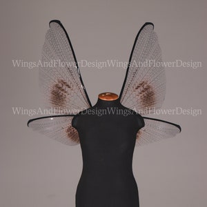 Transparent Wings, Butterfly Wings, Elf Wings, Wings Photo Prop ...