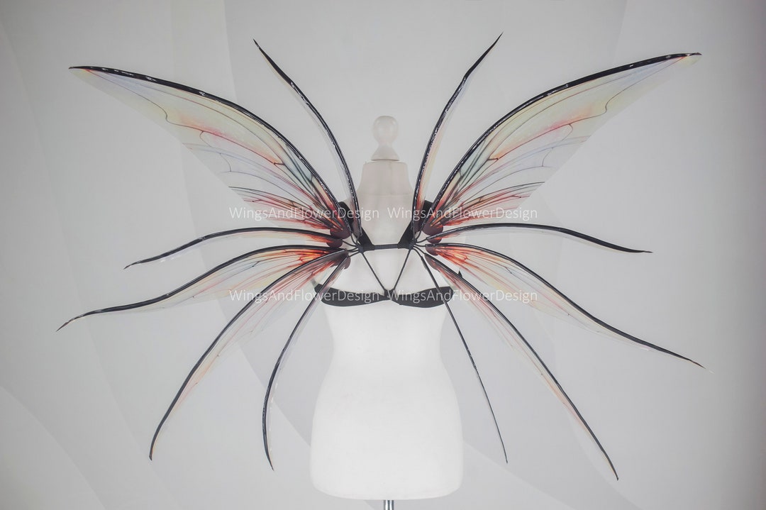 Transparent Wings Moth Wings Butterfly Wings Elf Wings - Etsy