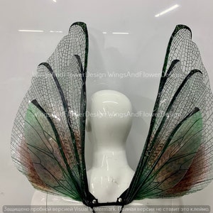 Transparent Wings, Moth Wings, Butterfly Wings, Elf Wings, Butterfly ...