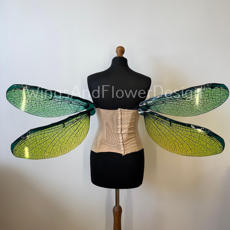 Green Dragonfly Fairy Wings Photo Prop: Corset Attachment, Fantasy ...