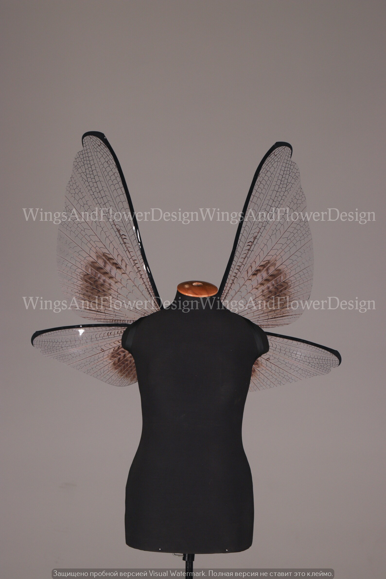 Transparent Wings Butterfly Wings Elf Wings Wings Photo - Etsy