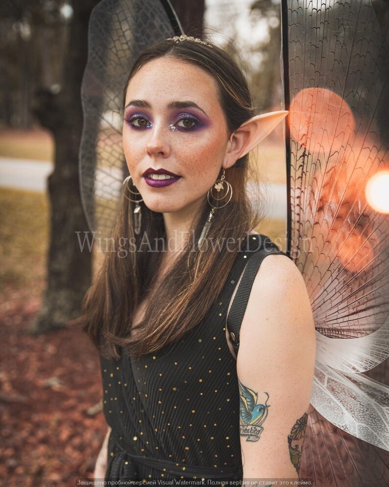 Transparent Wings Moth Wings Butterfly Wings Elf Wings - Etsy