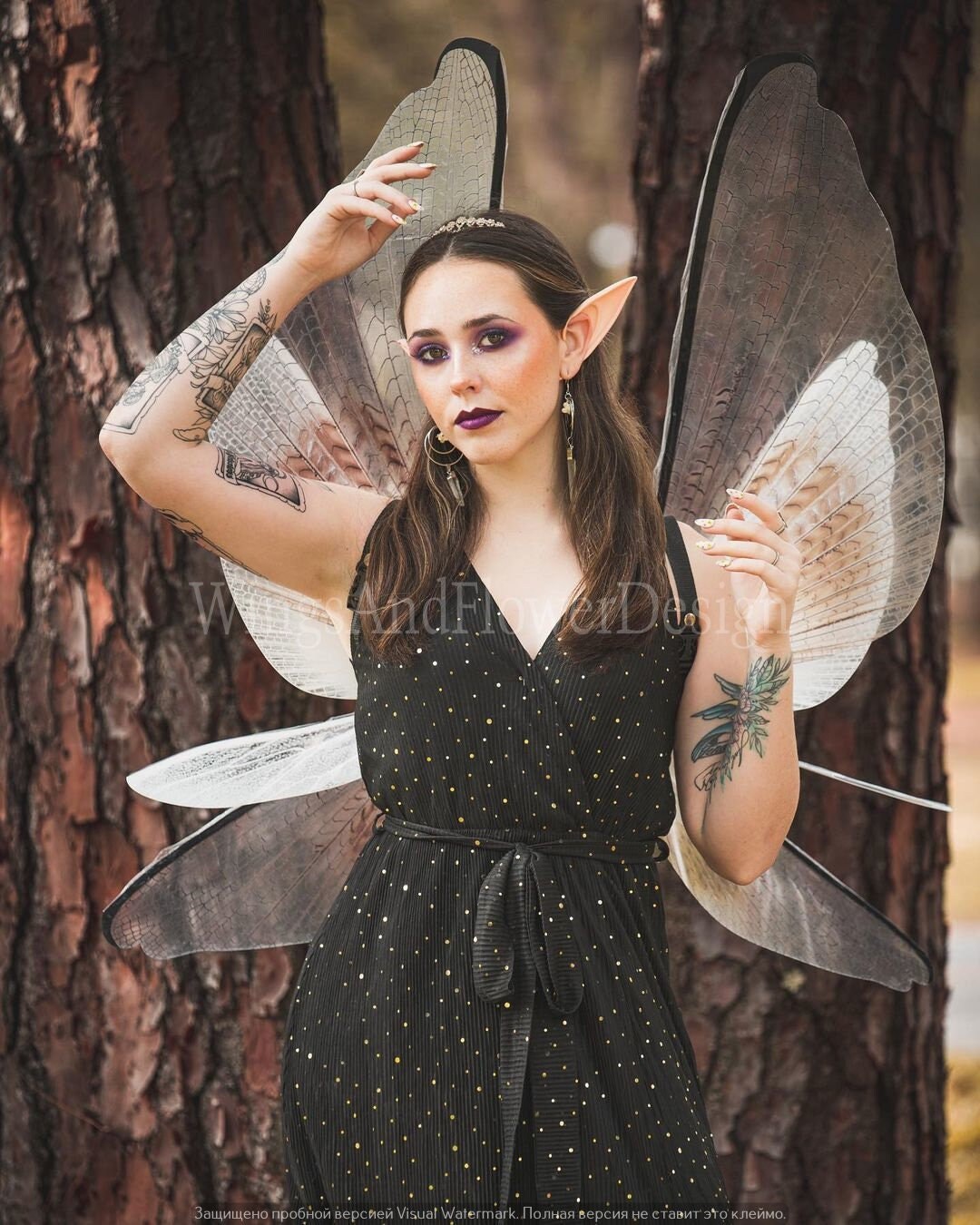 Transparent Wings, Moth Wings, Butterfly Wings, Elf Wings, Butterfly ...