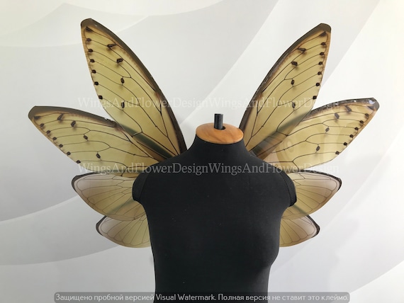 Cicadas Shell Cosplay