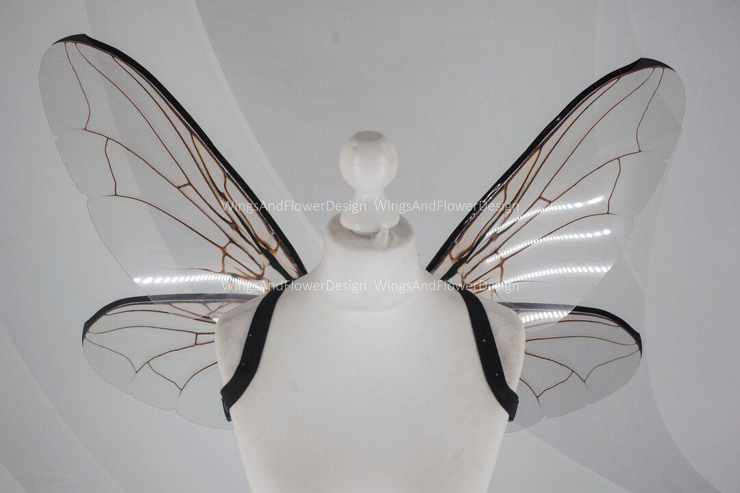 Fly Wings, Beetle Wings, Elf Wings, Fairy Wings, Wings Photo Prop ...